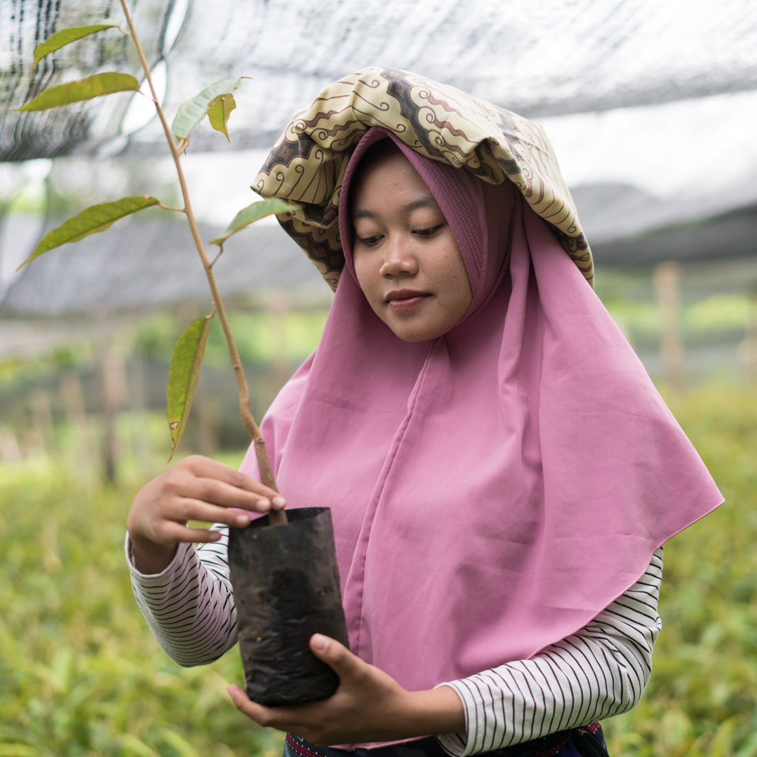 Groupe Clarins - Clarins Group